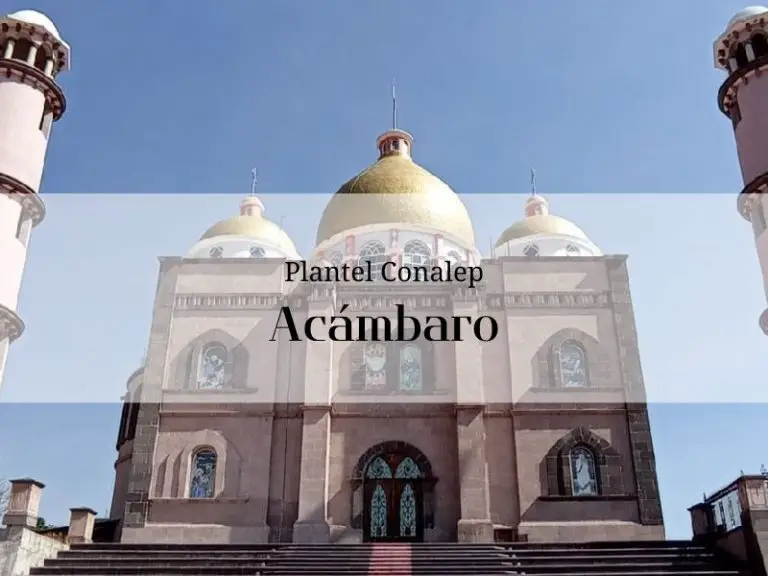 Conalep Acámbaro » inscripción y carreras【2025】