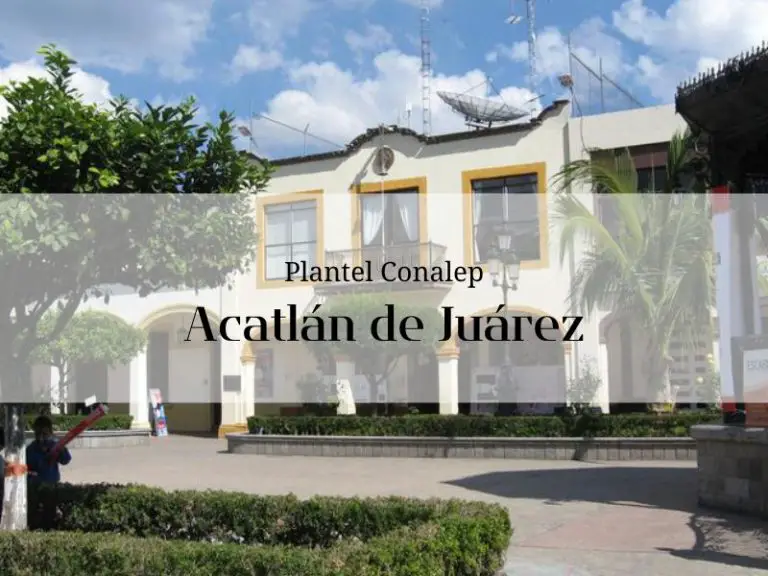 ASISTENTE DIRECTIVO ≫ Carrera del CONALEP