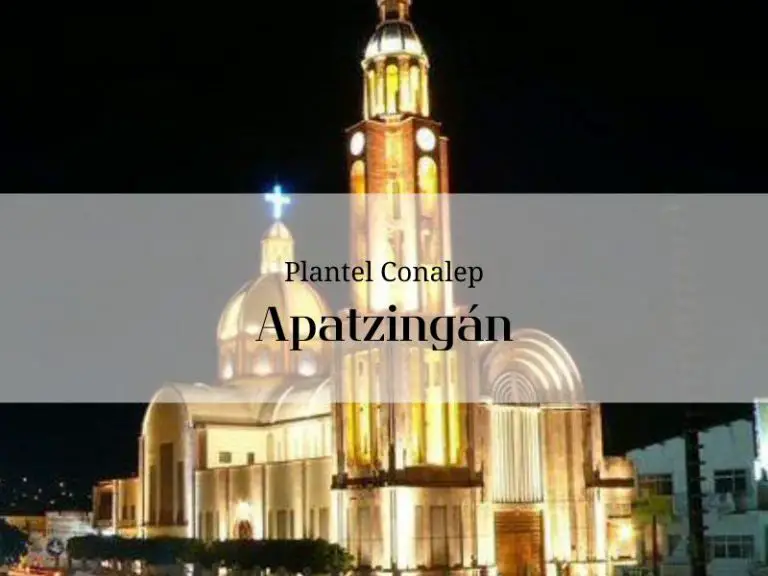 Conalep Apatzingán » inscripción y carreras【2025】