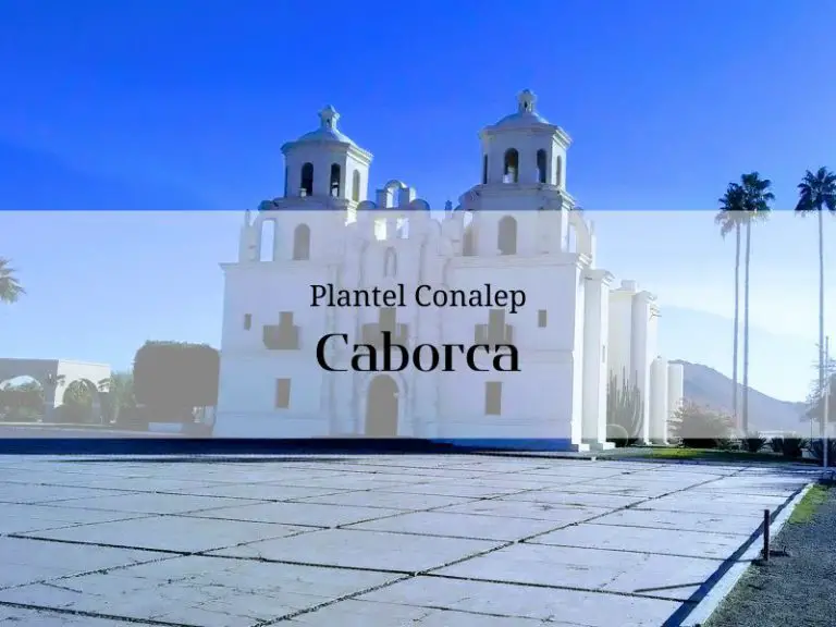 ASISTENTE DIRECTIVO ≫ Carrera del CONALEP