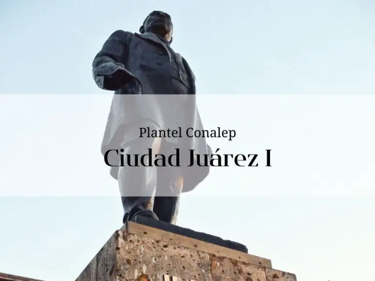 Conalep Ciudad Juárez I » inscripción y carreras【2026