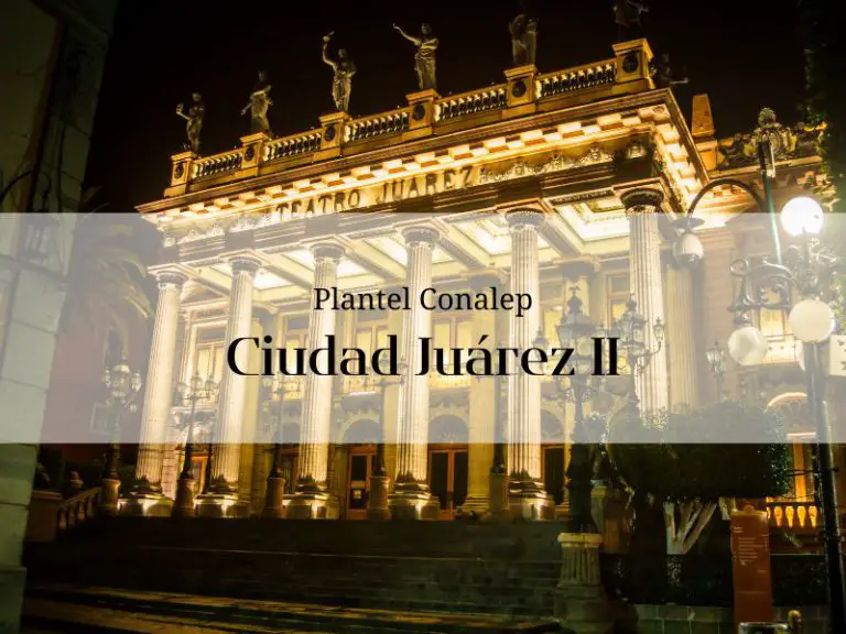 ASISTENTE DIRECTIVO ≫ Carrera del CONALEP