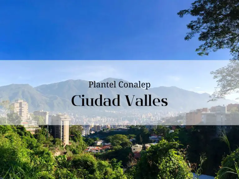 ASISTENTE DIRECTIVO ≫ Carrera del CONALEP