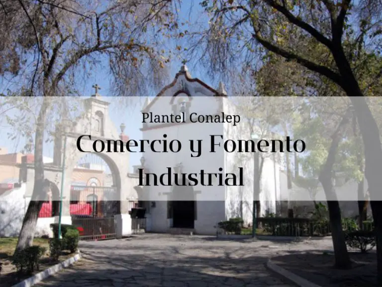 ASISTENTE DIRECTIVO ≫ Carrera del CONALEP