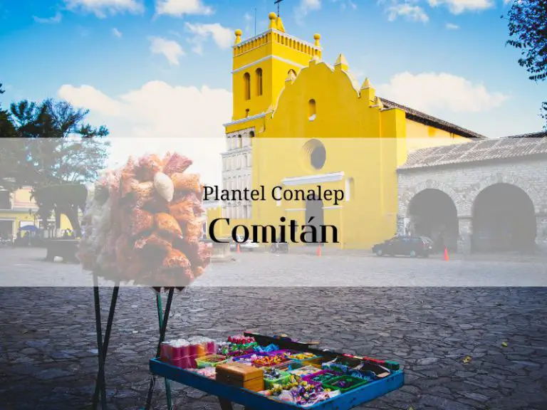 ASISTENTE DIRECTIVO ≫ Carrera del CONALEP