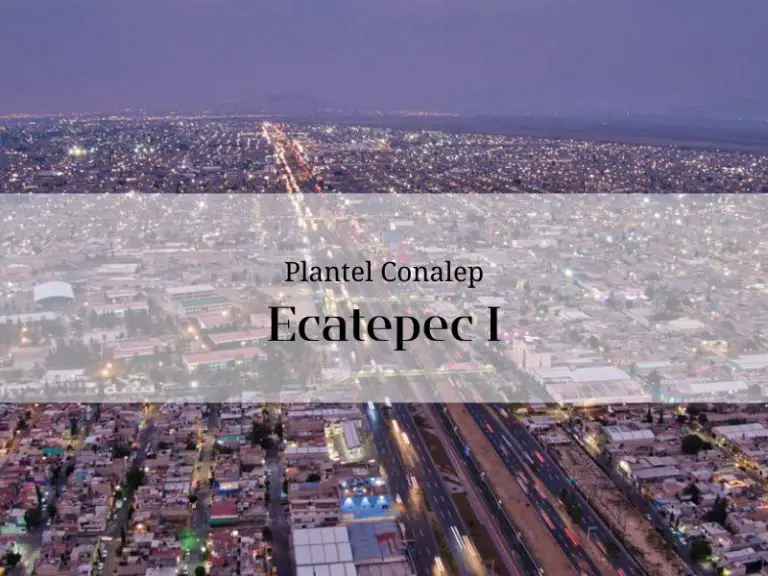 ASISTENTE DIRECTIVO ≫ Carrera del CONALEP