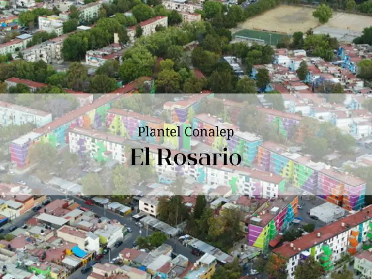 ASISTENTE DIRECTIVO ≫ Carrera del CONALEP