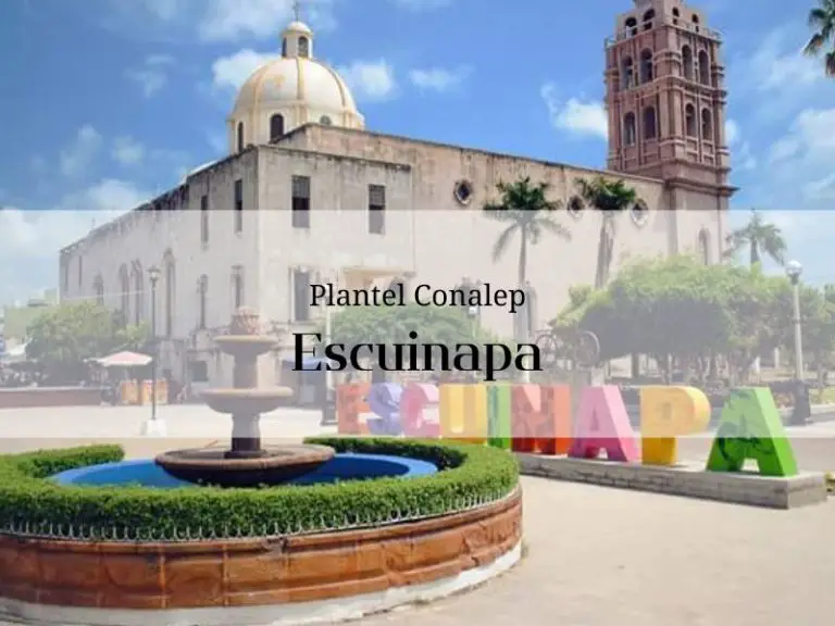 Conalep Escuinapa » inscripción y carreras【2025】