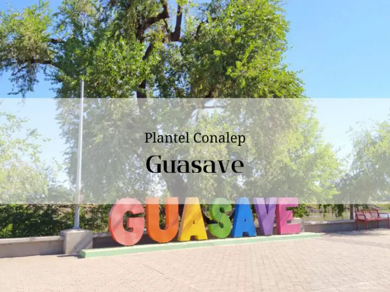 ASISTENTE DIRECTIVO ≫ Carrera del CONALEP