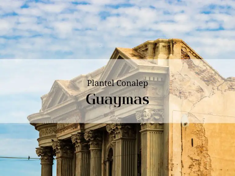 ASISTENTE DIRECTIVO ≫ Carrera del CONALEP