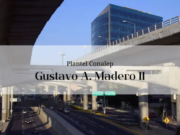 ASISTENTE DIRECTIVO ≫ Carrera del CONALEP