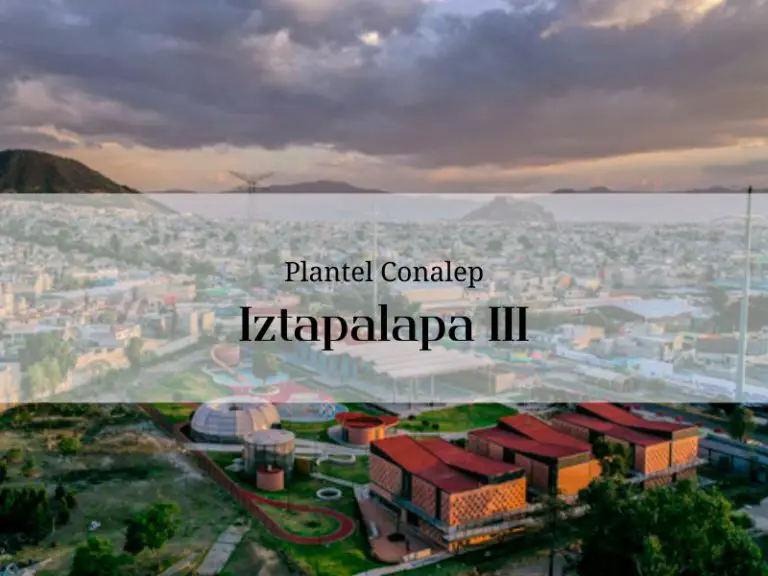 ASISTENTE DIRECTIVO ≫ Carrera del CONALEP