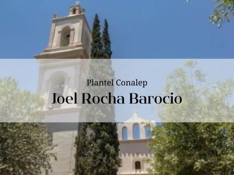 Conalep Joel Rocha Barocio » inscripción y carreras【2026】