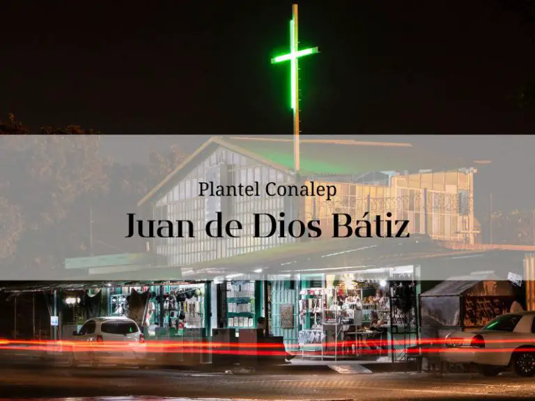 ASISTENTE DIRECTIVO ≫ Carrera del CONALEP