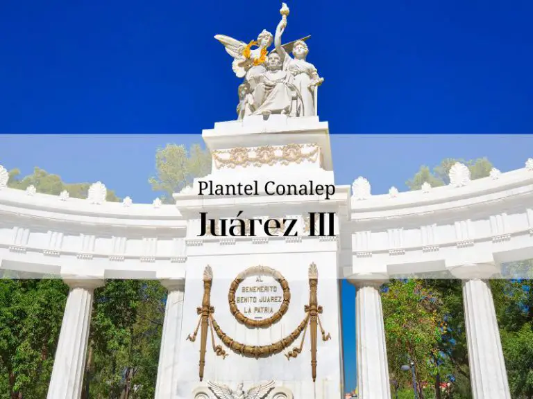 Conalep Juárez III » inscripción y carreras【2025