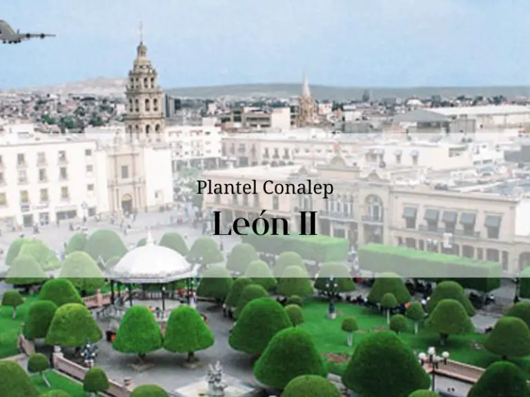 ALIMENTOS Y BEBIDAS ≫ Carrera del CONALEP