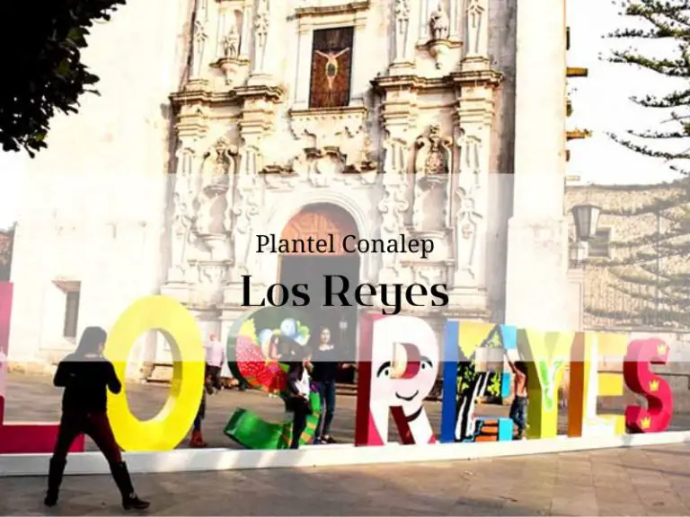 ASISTENTE DIRECTIVO ≫ Carrera del CONALEP