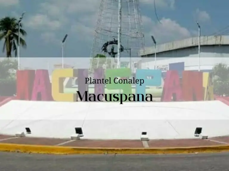 Conalep Macuspana » inscripción y carreras【2025