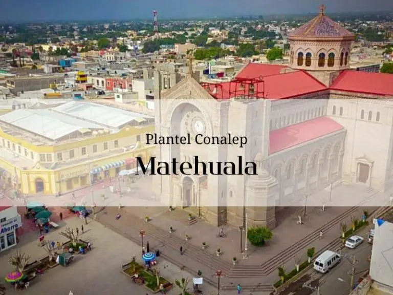 ASISTENTE DIRECTIVO ≫ Carrera del CONALEP