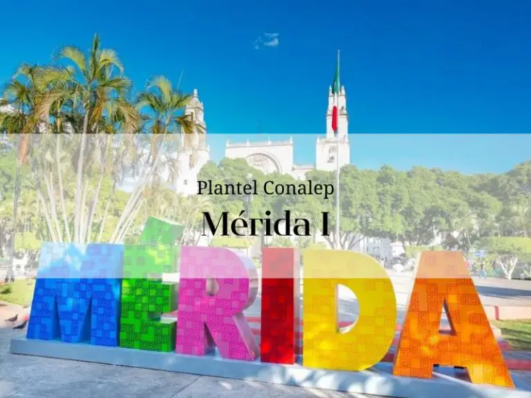 Conalep Mérida I » inscripción y carreras【2025