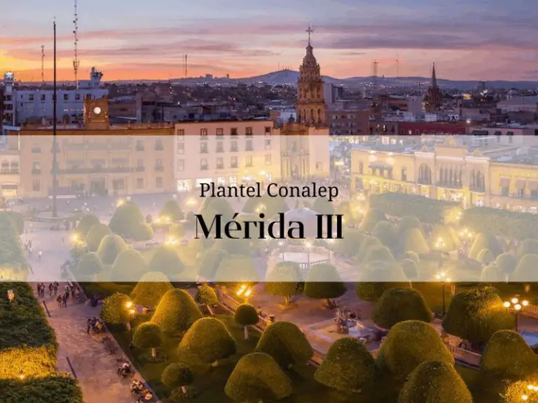 Conalep Mérida III » inscripción y carreras【2025