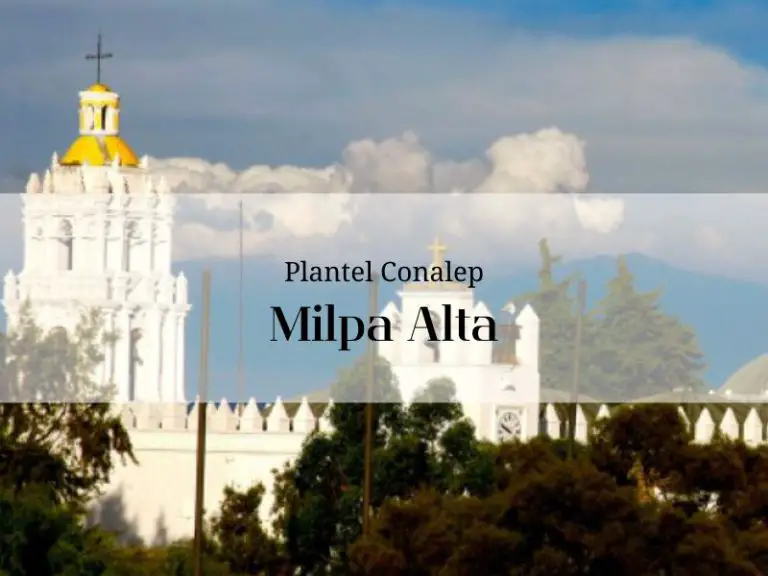 ASISTENTE DIRECTIVO ≫ Carrera del CONALEP