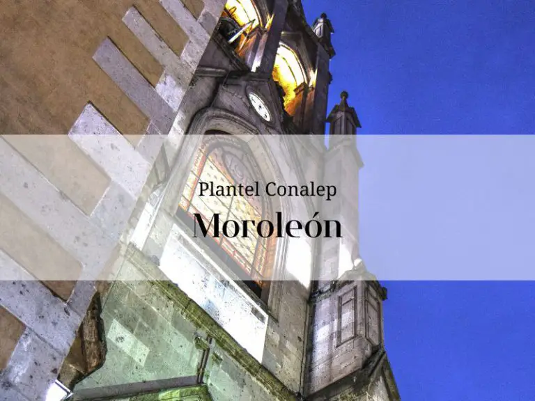 ENFERMERÍA GENERAL - Carrera del CONALEP