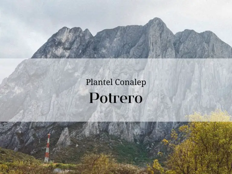 Mantenimiento de Equipo de Cómputo ≫ Carrera del CONALEP