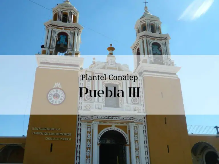 Conalep Puebla III » inscripción y carreras【2025