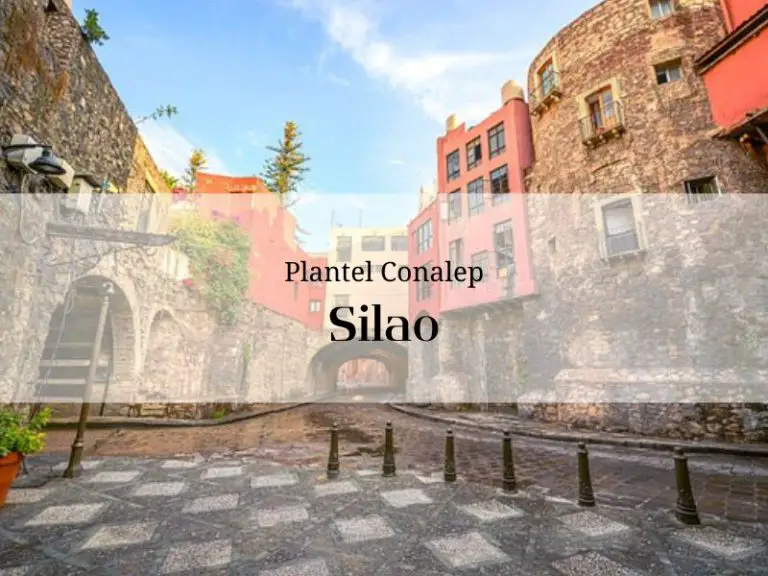 Conalep Silao » inscripción y carreras【2025】