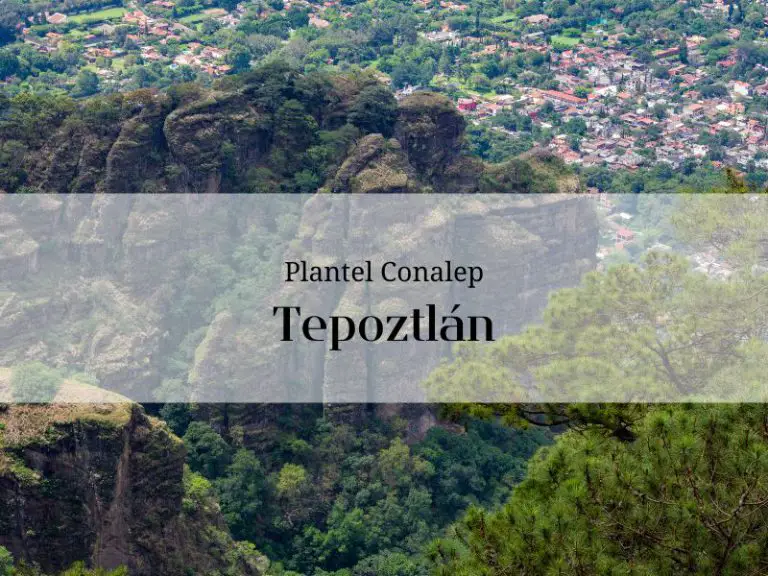 ALIMENTOS Y BEBIDAS ≫ Carrera del CONALEP