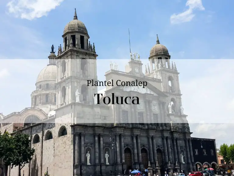 OPTOMETRÍA ≫ Carrera del CONALEP