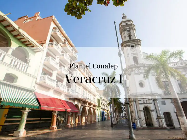 Conalep Veracruz I » inscripción y carreras【2026