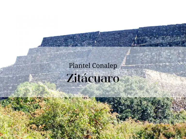 Conalep Zitácuaro » inscripción y carreras【2025】